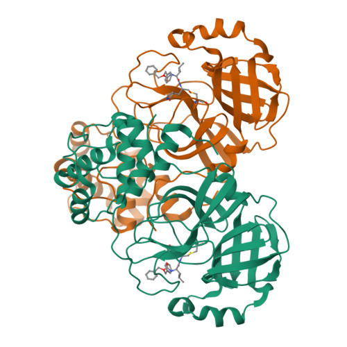 RCSB PDB - 9EEI: Crystal structure of the SARS-CoV-2 Omicron nsp5 main ...