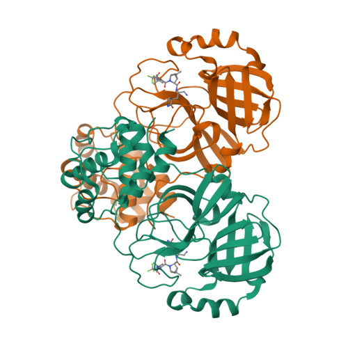 RCSB PDB - 9EEV: Crystal structure of the SARS-CoV-2 Omicron nsp5 main ...