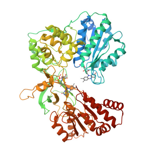 RCSB PDB - 9EF0: EM structure of cytochrome P450 reductase