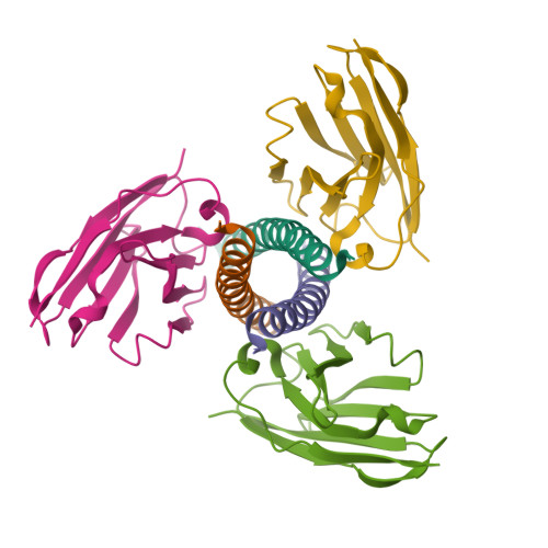 RCSB PDB - 9EG6: Crystal structure of the human Cavin1 HR1 HT/II mutant ...