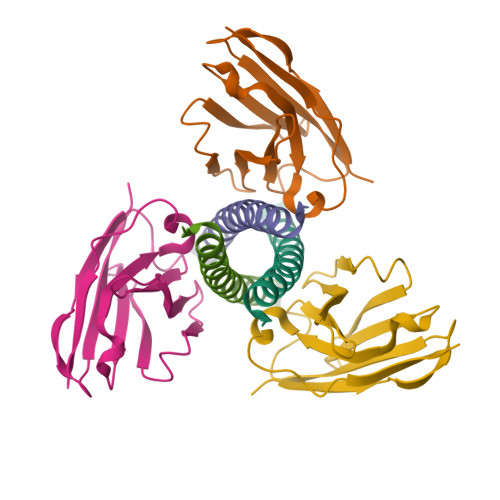 RCSB PDB - 9EGN: Crystal structure of the human Cavin1 HR1 domain bound ...