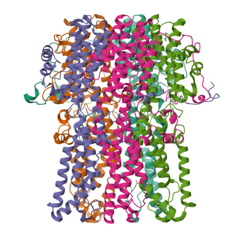 RCSB PDB - 9EGQ: Human BEST1 bound to GABA in an intermediate state