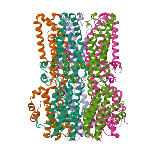 RCSB PDB - 9EGT: Human BEST1 in an open state