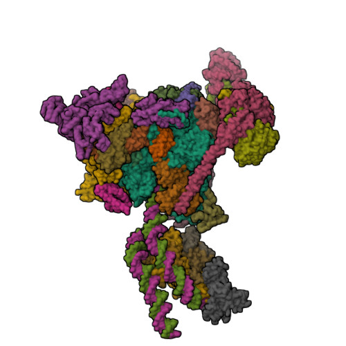 RCSB PDB - 9EGZ: RNA polymerase II-DSIF-SPT6-PAF1c-TFIIS-IWS1-SETD2 ...