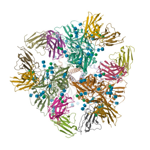 RCSB PDB - 9EHL: Structure of HIV-1 BG505 SOSIP.664 Env trimer in ...