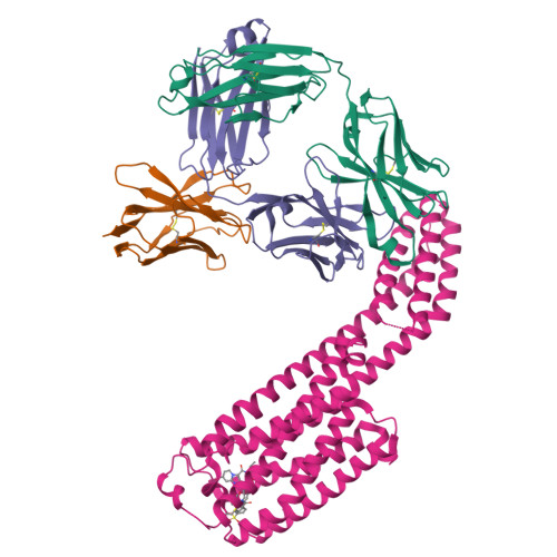 RCSB PDB - 9EHS: Structure of a human adenosine A3 receptor complex ...