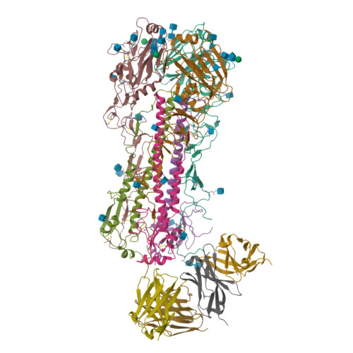 RCSB PDB - 9EI9: Cryo-EM structure of 5E10 Fab in complex with H3 ...