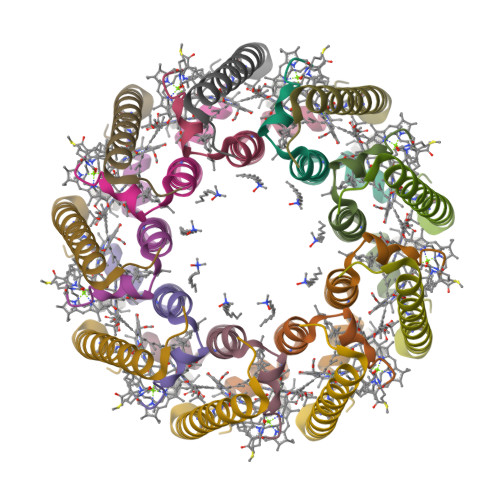 RCSB PDB - 9EK8: Light Harvesting complex 2 (LH2), B800-B850, of ...