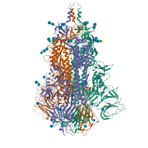 RCSB PDB - 9ELM: Cryo-EM structure of SARS-CoV-2 Omicron JN.1.11 spike protein (closed state)