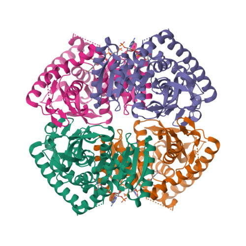 RCSB PDB - 9END: Crystal structure of Methanopyrus kandleri malate ...