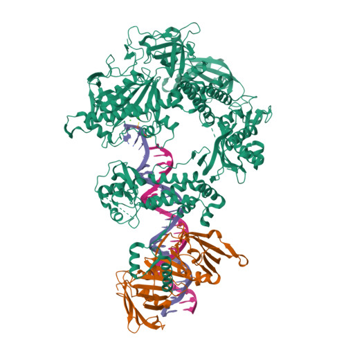 RCSB PDB - 9ENP: HSV-1 DNA polymerase-processivity factor complex in ...
