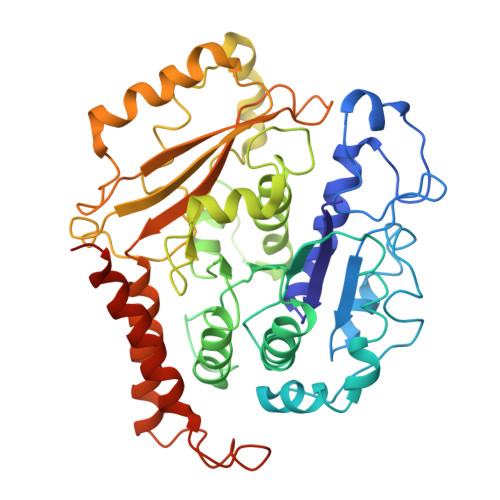 RCSB PDB - 9EOJ: Vertebrate microtubule-capping gamma-tubulin ring complex