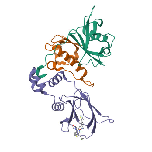 RCSB PDB - 9EQJ: Crystal structure of pVHL:EloB:EloC in complex with MP ...