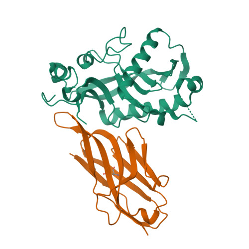 RCSB PDB - 9ERU: Mouse CNPase catalytic domain with nanobody 7E