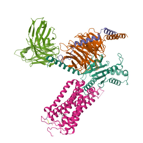 RCSB PDB - 9ERX: Structural basis of D9-THC analog activity at the ...