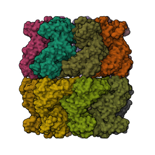 RCSB PDB - 9ES2: ATP-bound human mitochondrial Hsp60 double-ring complex