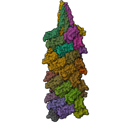 RCSB PDB - 9ETS: Sulfolobus acidocaldarius AAP filament