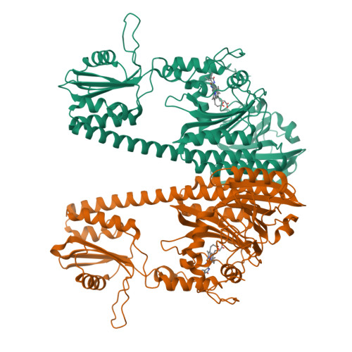 RCSB PDB - 9EUY: Cryo-EM structure of the full-length Pseudomonas aeruginosa bacteriophytochrome ...