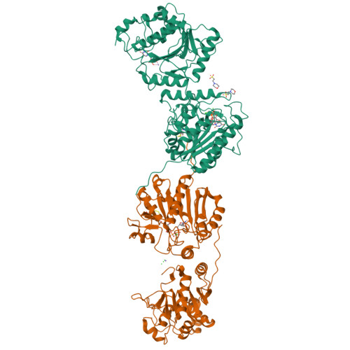 RCSB PDB - 9EVJ: Crystal Structure of human Collagen Hydroxylysine ...