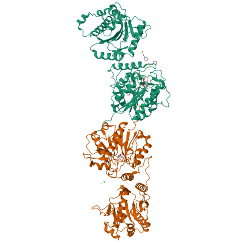RCSB PDB - 9EVK: Crystal Structure of human Collagen Hydroxylysine ...