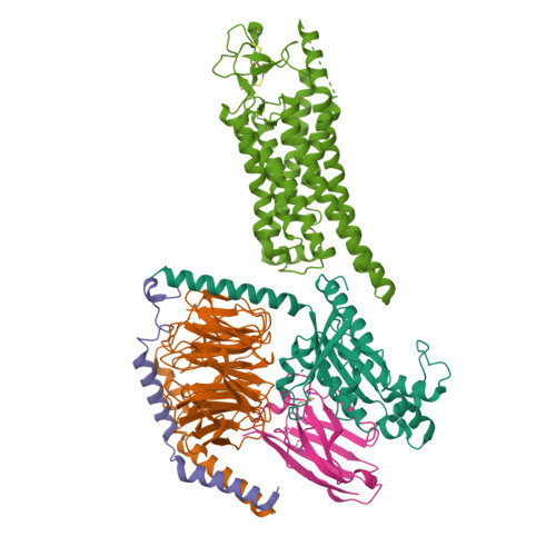 RCSB PDB - 9EW2: High resolution structure of FZD7 in complex with ...