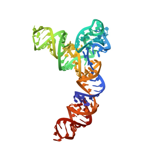 RCSB PDB - 9EWW: Human p53 mRNA_CDS_120nt