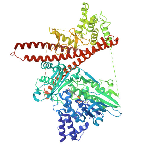 RCSB PDB - 9EWY: CryoEM structure of human MICAL1