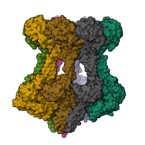 RCSB PDB - 9EXQ: Wzc-K540M-3YE-N711Y MgADP C1