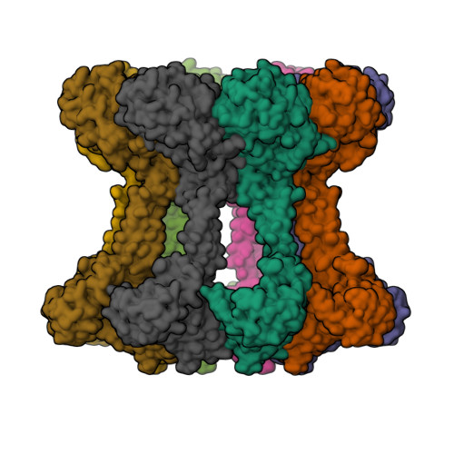 RCSB PDB - 9EXR: Wzc-K540M-3YE-N711Y MgADP C8