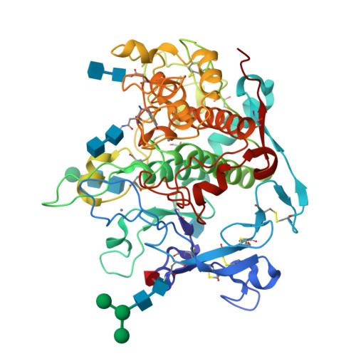 RCSB PDB - 9EY5: Crystal structure of human tyrosinase-related protein ...
