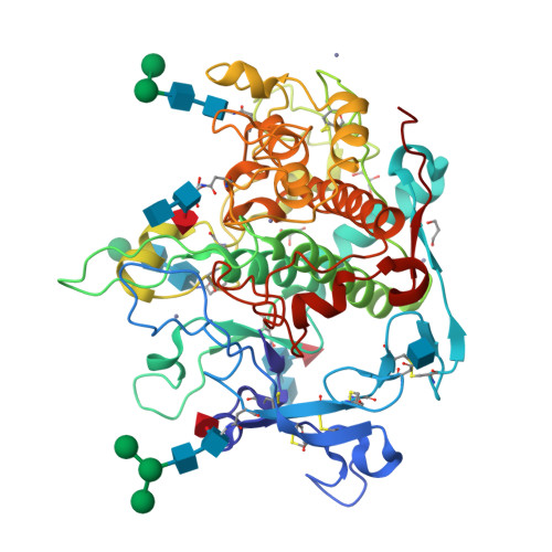RCSB PDB - 9EY6: Crystal structure of human tyrosinase-related protein ...