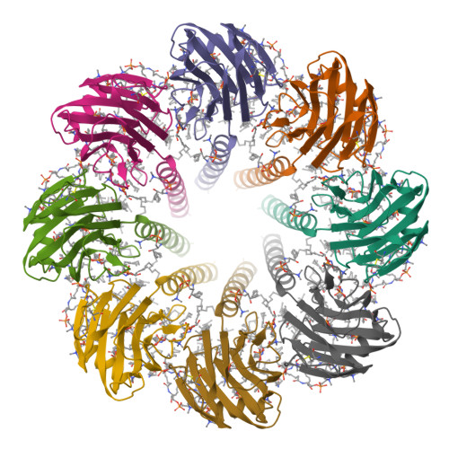 RCSB PDB - 9EYO: The structure of solubilized octameric pore of ...