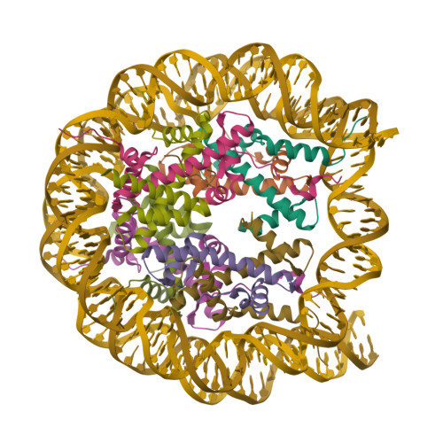 RCSB PDB - 9F0O: The molecular basis and modulation of lamin-specific ...