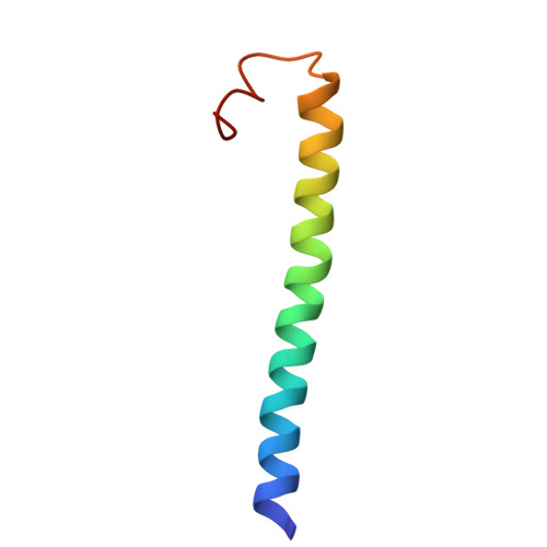 RCSB PDB - 9F1G: Remorin protein StREM13_150-198