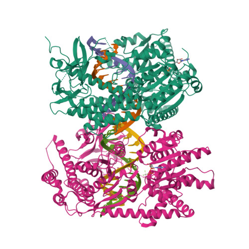 RCSB PDB - 9F2L: Cryo-EM structure of the I923V MDA5-dsRNA filament ...