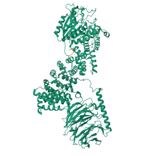 RCSB PDB - 9F42: cryo-EM structure of LST2 TOS peptide bound to human ...