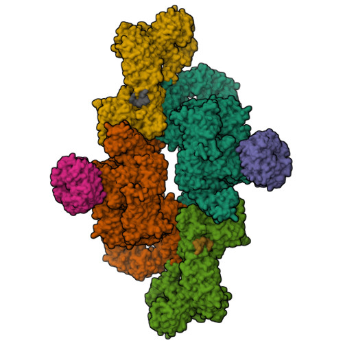 RCSB PDB - 9F44: cryo-EM structure of LST2 TOS peptide bound to human ...
