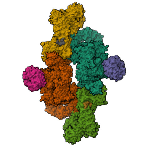 RCSB PDB - 9F45: cryo-EM structure of human LST2 bound to human mTOR ...