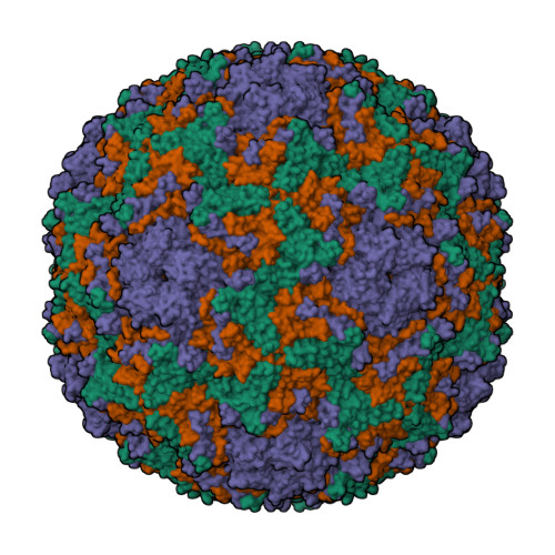 RCSB PDB - 9F6A: EVA71 E096A native particle