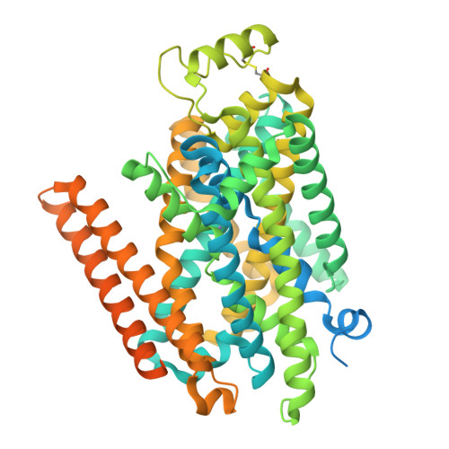 RCSB PDB - 9F6N: Human divalent metal transporter 1 (DMT1/SLC11A2) in ...