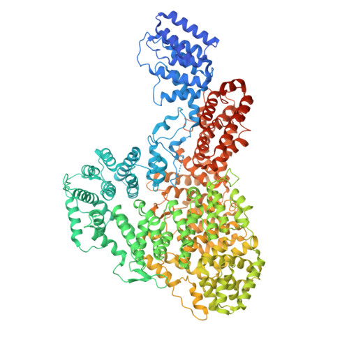 RCSB PDB - 9F76: CryoEM structure of human Mediator subunit Med23