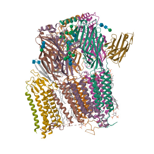 RCSB PDB - 9FAJ: CryoEM structure of human full-length ...