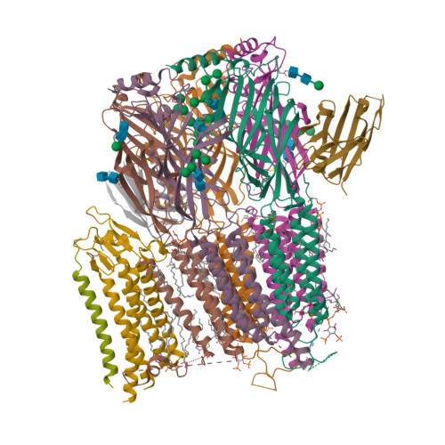 RCSB PDB - 9FAK: CryoEM structure of human full-length alpha1beta3gamma2 GABA(A) receptor in ...