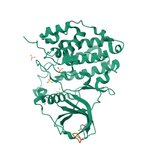 RCSB PDB - 9FBM: Structure of human protein kinase ck2 catalytic subunit (ck2alpha, csnk2a1 gene ...