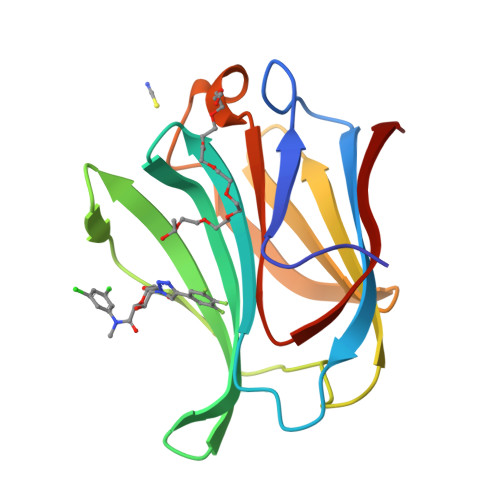 RCSB PDB - 9FDC: Co-crystal structure of Galectin-3 with an inhibitor