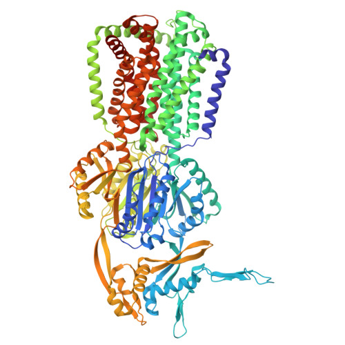 RCSB PDB - 9FDP: Single particle cryo-EM structure of the AcrB V612W ...