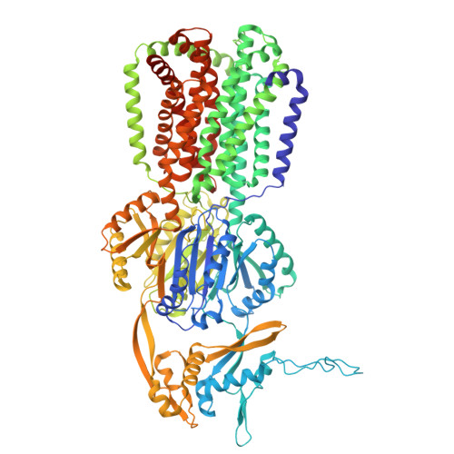 RCSB PDB - 9FDQ: Single particle cryo-EM structure of the AcrB V612F ...