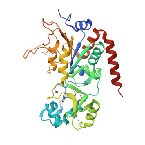 RCSB PDB - 9FDS: Crystal structure of human Sirt2 in complex with SirReal2