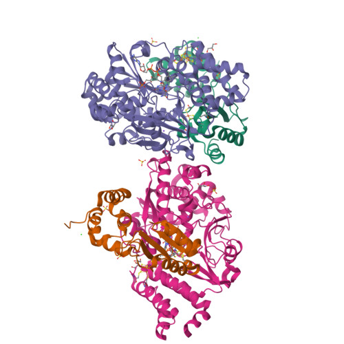 RCSB PDB - 9FE5: Crystal Structure of NuoEF variant R66G(NuoF) from ...