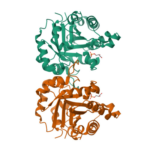 RCSB PDB - 9FFC: Crystal structure of human triose phosphate isomerase ...